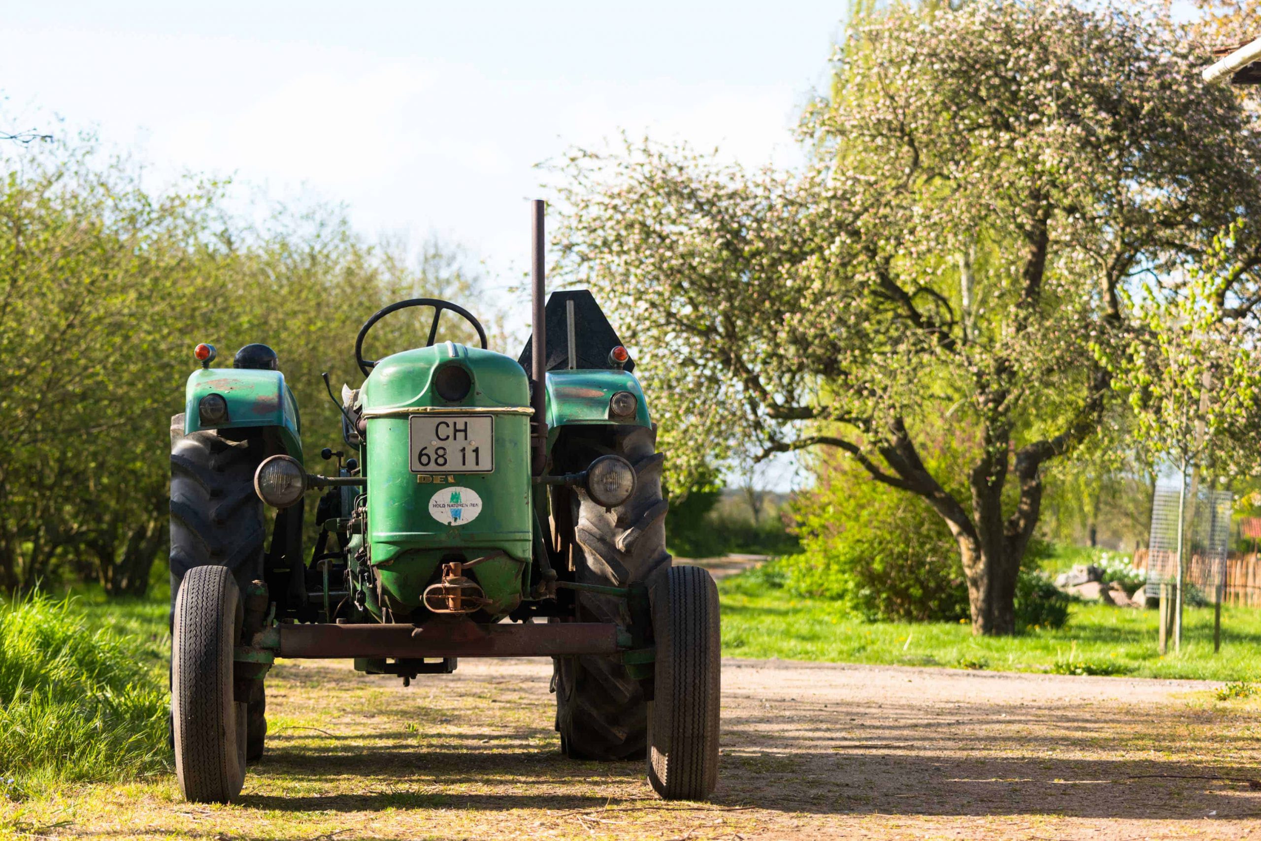 Gallery - Tiki Camp Glamping